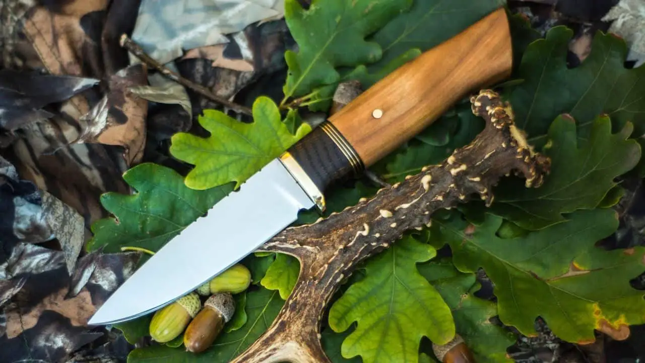 Hunting Knives: What are They Used for and Do You Need One? – Knife Manual