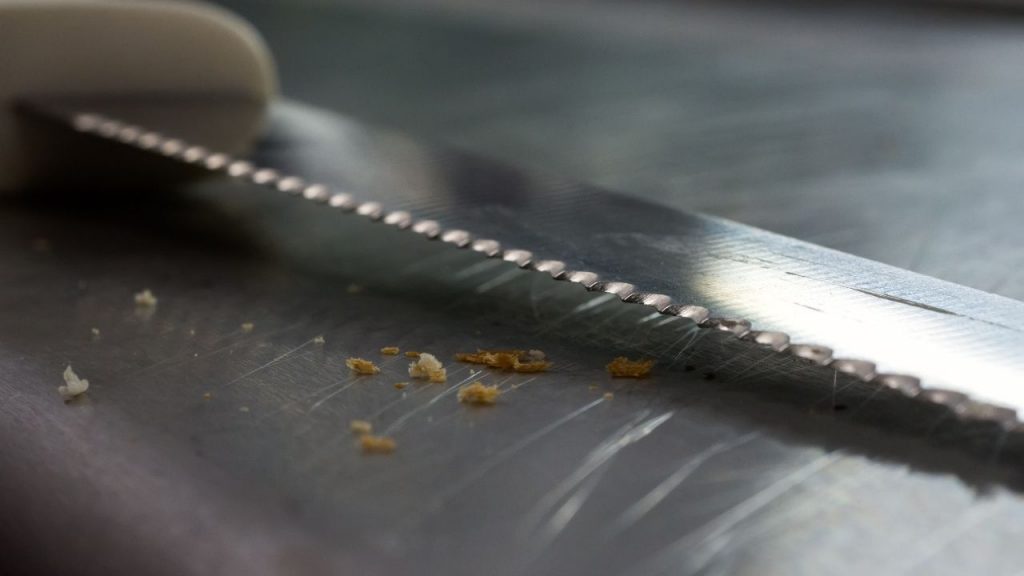 Serrated vs. Plain Edge Knives: Which One is Better? – Knife Manual